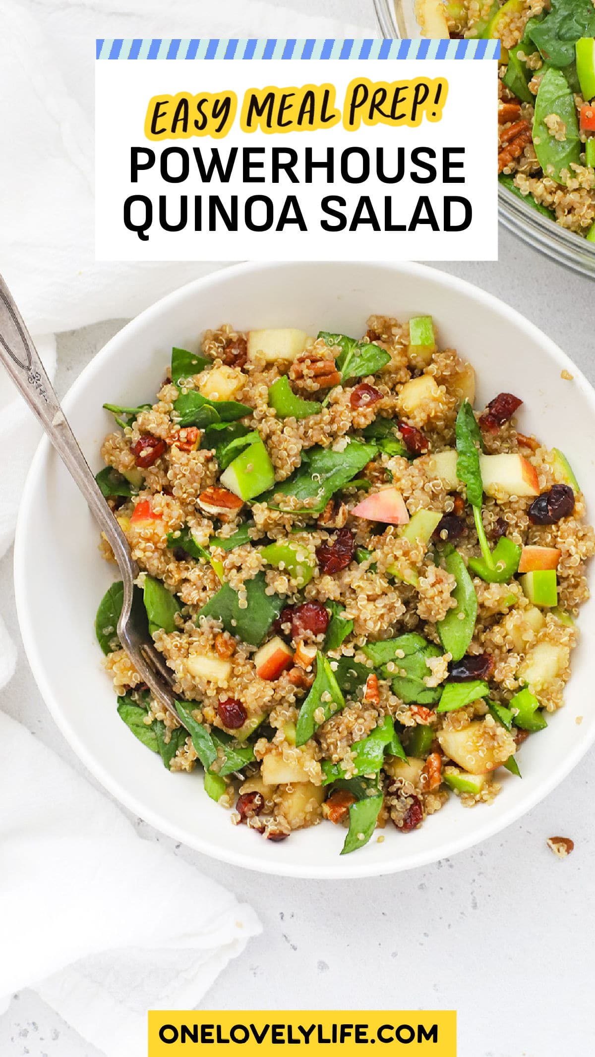 Healthy Powerhouse Quinoa Salad (Easy Meal Prep Lunch!)