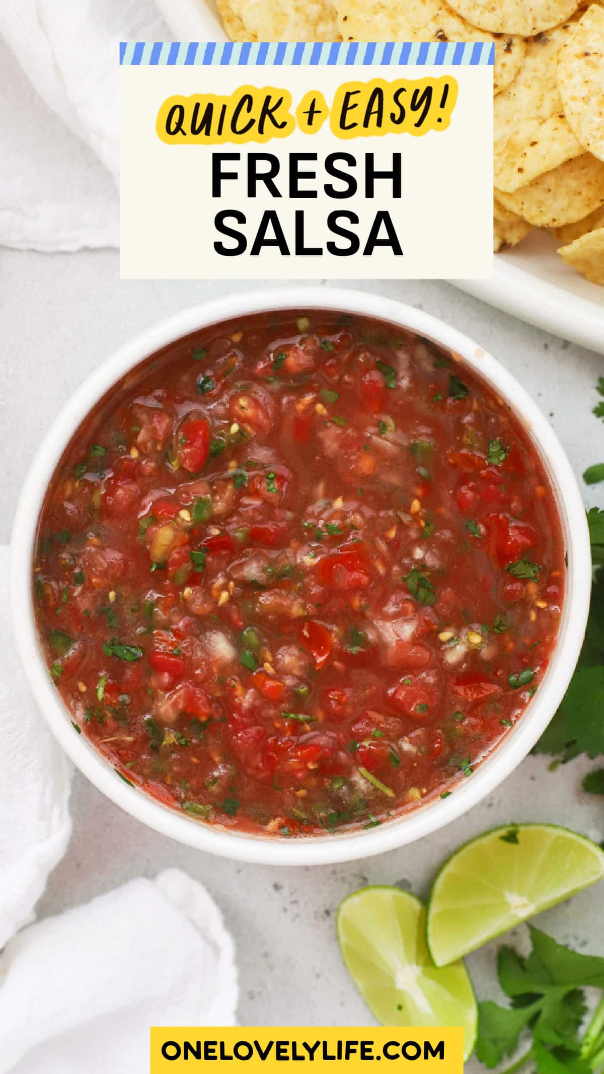 Homemade Fresh Salsa (Quick & EASY Salsa Recipe!)