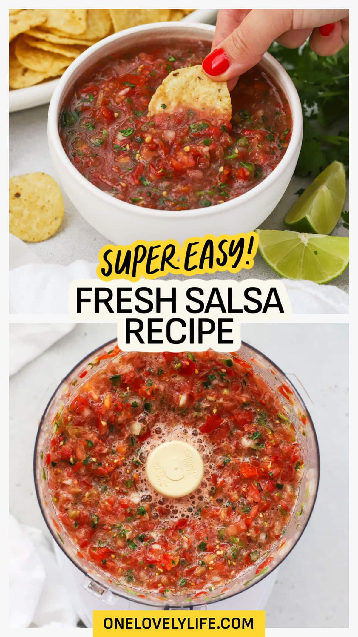 Homemade Fresh Salsa (Quick & EASY Salsa Recipe!)